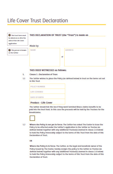 FREE 30+ Trust Declaration Forms in PDF