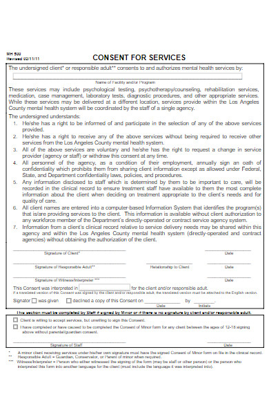 FREE 35+ Service Consent Forms Download – How to Create Guide, Tips