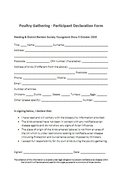 FREE 30+ Participant Declaration Forms Download – How to Create Guide, Tips