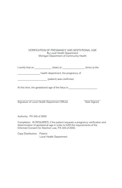 FREE 6+ Pregnancy Verification Forms Download – How to Create Guide, Tips