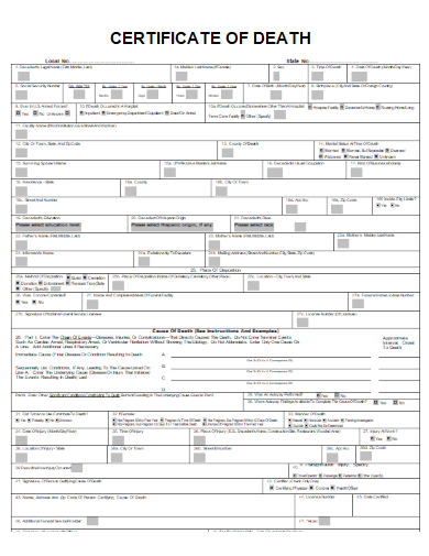 FREE 10+ Death Certificate Form Samples, PDF, MS Word, Google Docs
